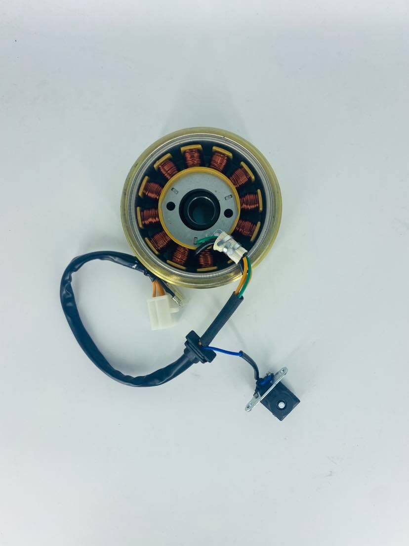 Magnetic Motor Assembly – Pentaras Motors